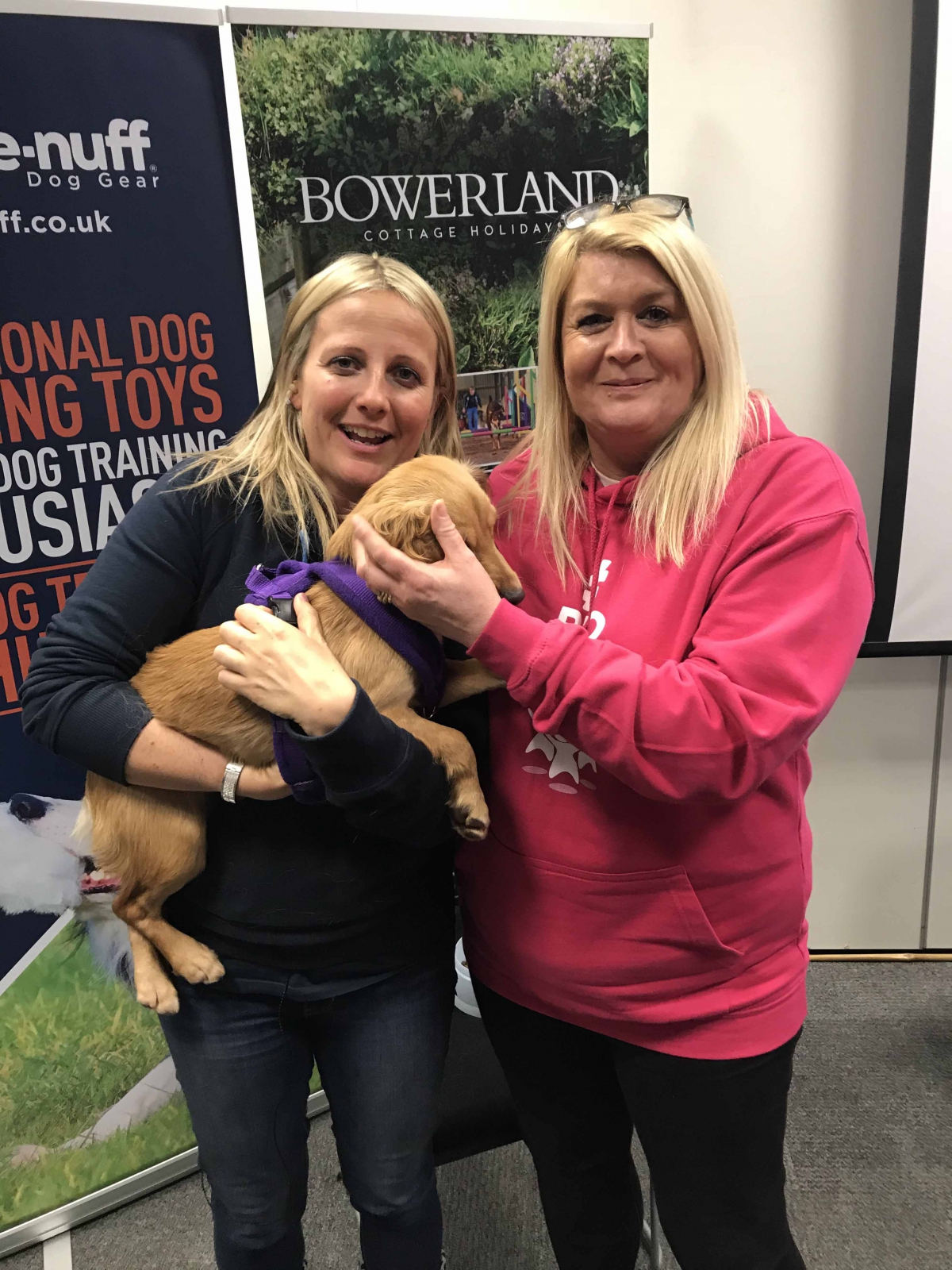 How we work - Paws Positive Dog Training